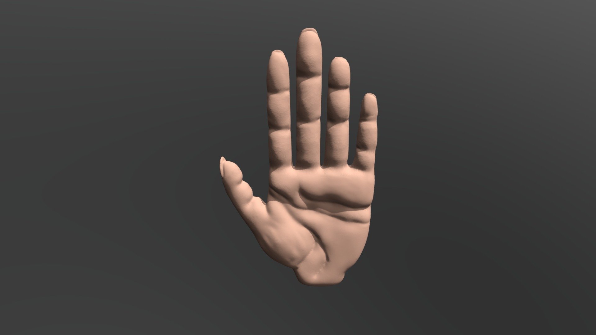 17 Hand Pose - 3D model by Zockbot [bcbc1d1] - Sketchfab