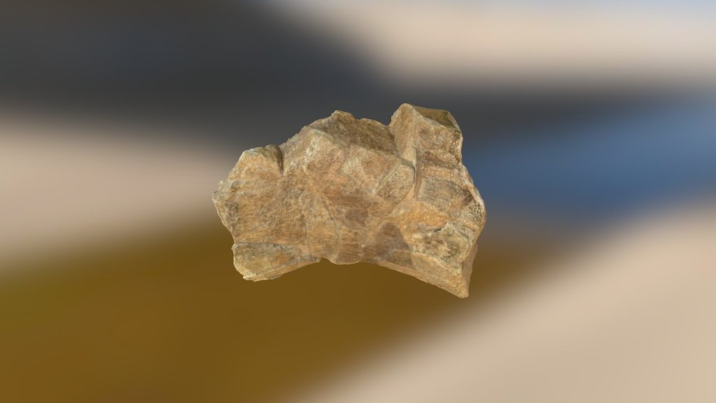 Eolambia Humerus (VCU_3D_2398) - 3D model by Virtual Curation Lab ...