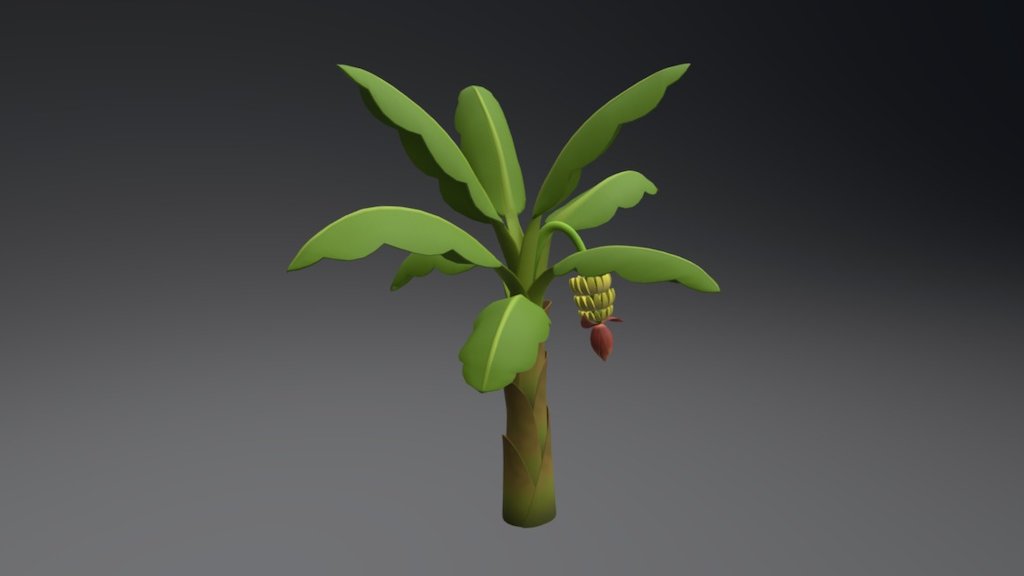 Banana tree - 3D model by Cengkerik (@backbone) [bcc199a] - Sketchfab