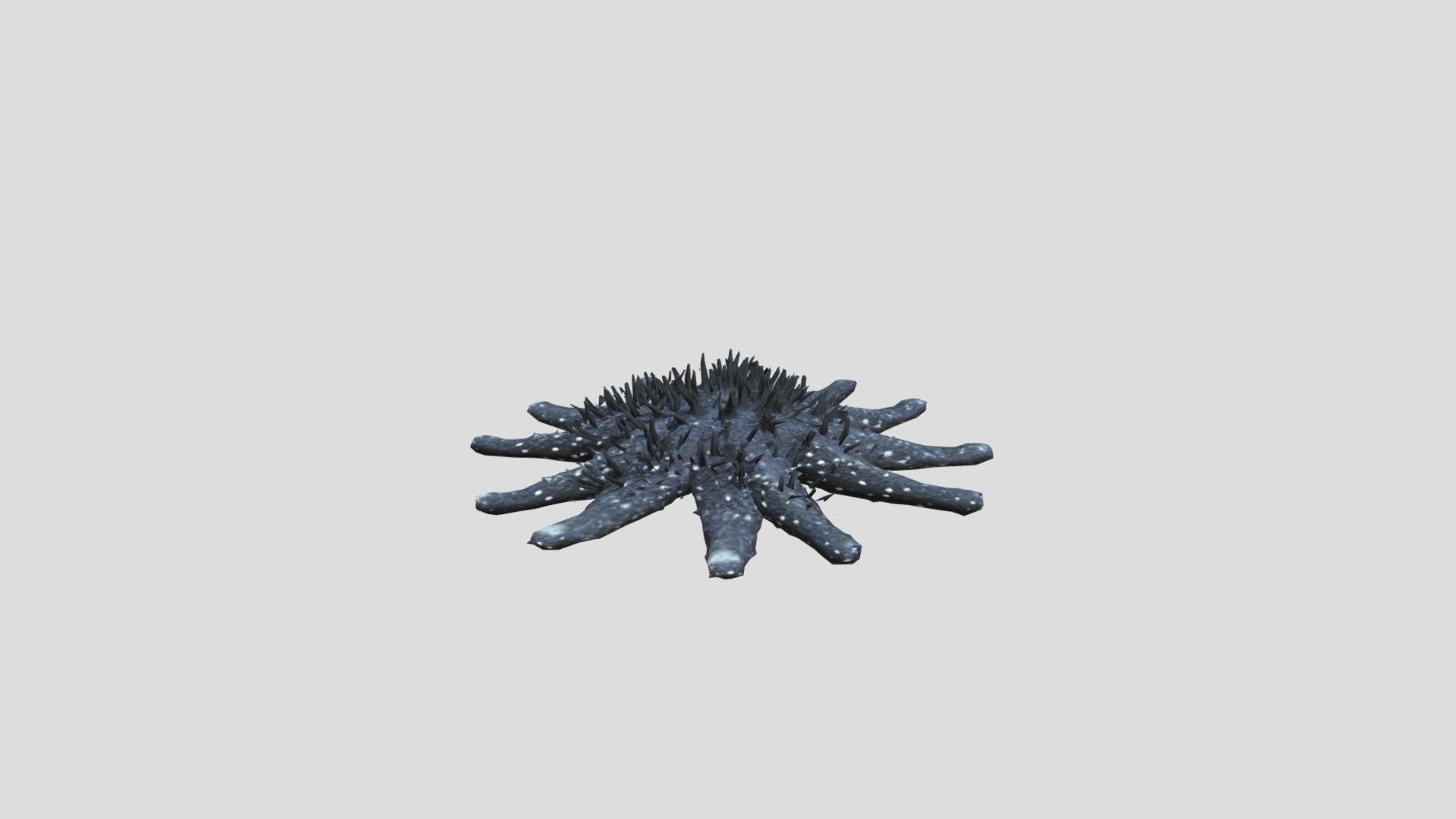 Crown of Thorns Starfish - Download Free 3D model by iteacher [bcc35b1 ...
