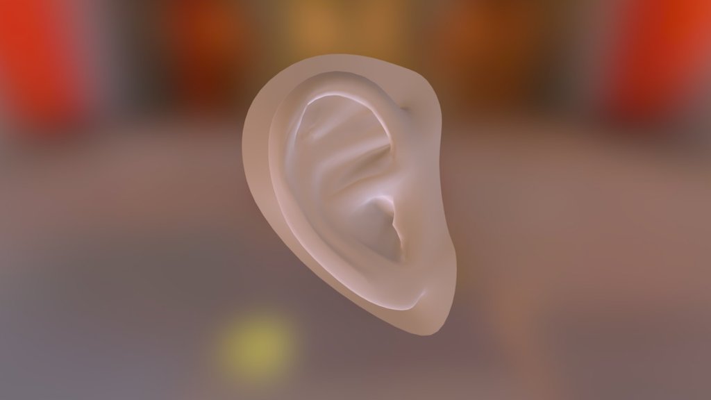Oreja - 3D model by vyrydyboo [bcd62b3] - Sketchfab