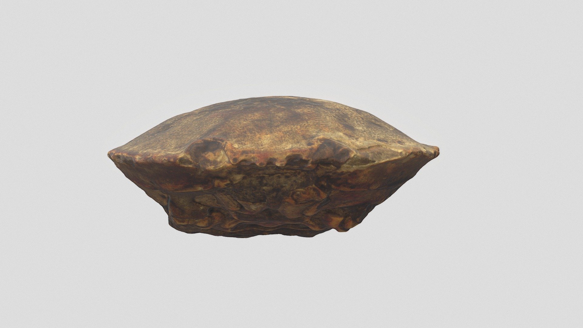 Granchio - Download Free 3D model by Atlante virtuale 3D Geoscienze ...