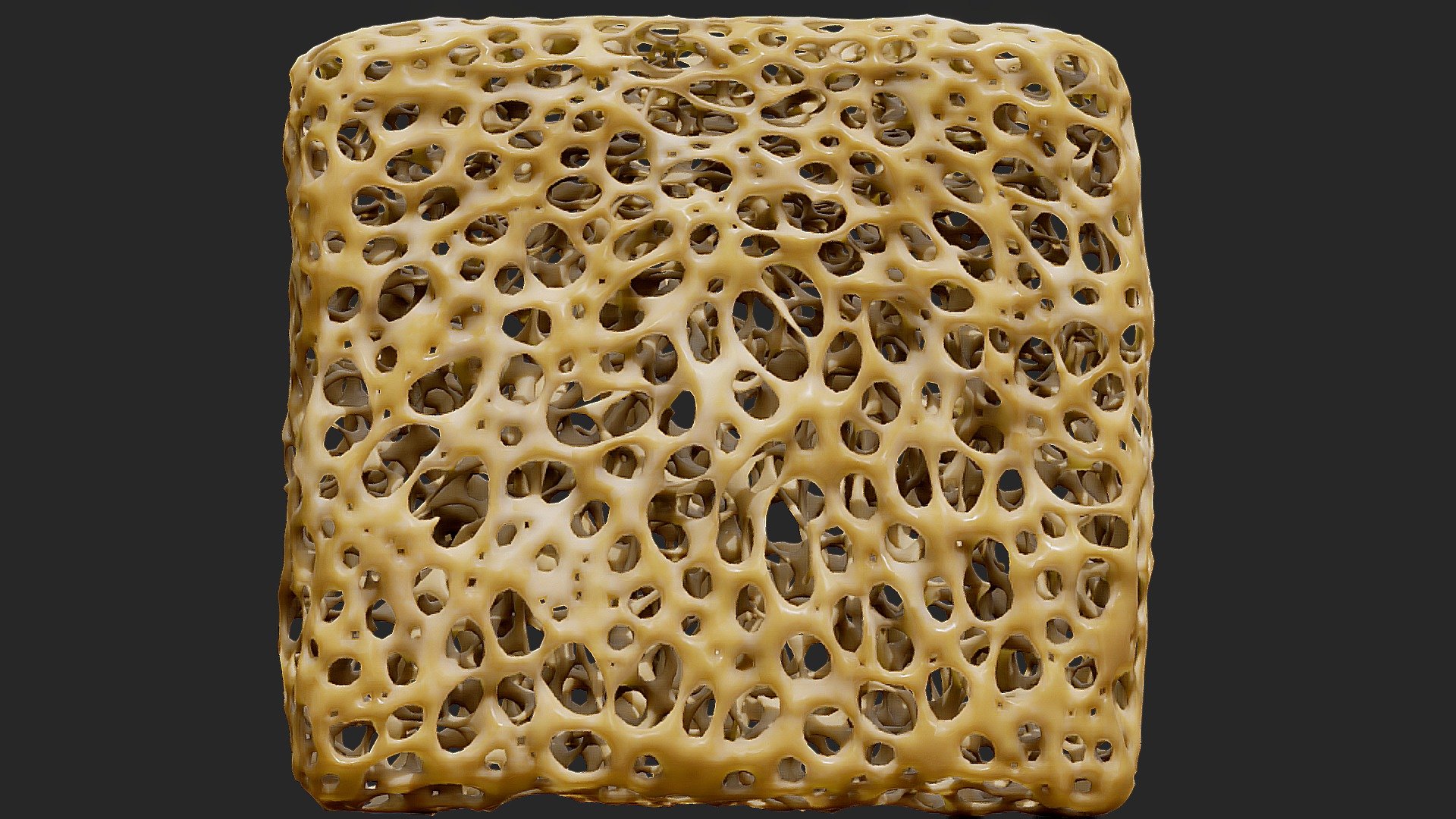 Bone Matrix Rectangle - Buy Royalty Free 3D model by zames1992 [bcdaba2] - Sketchfab Store