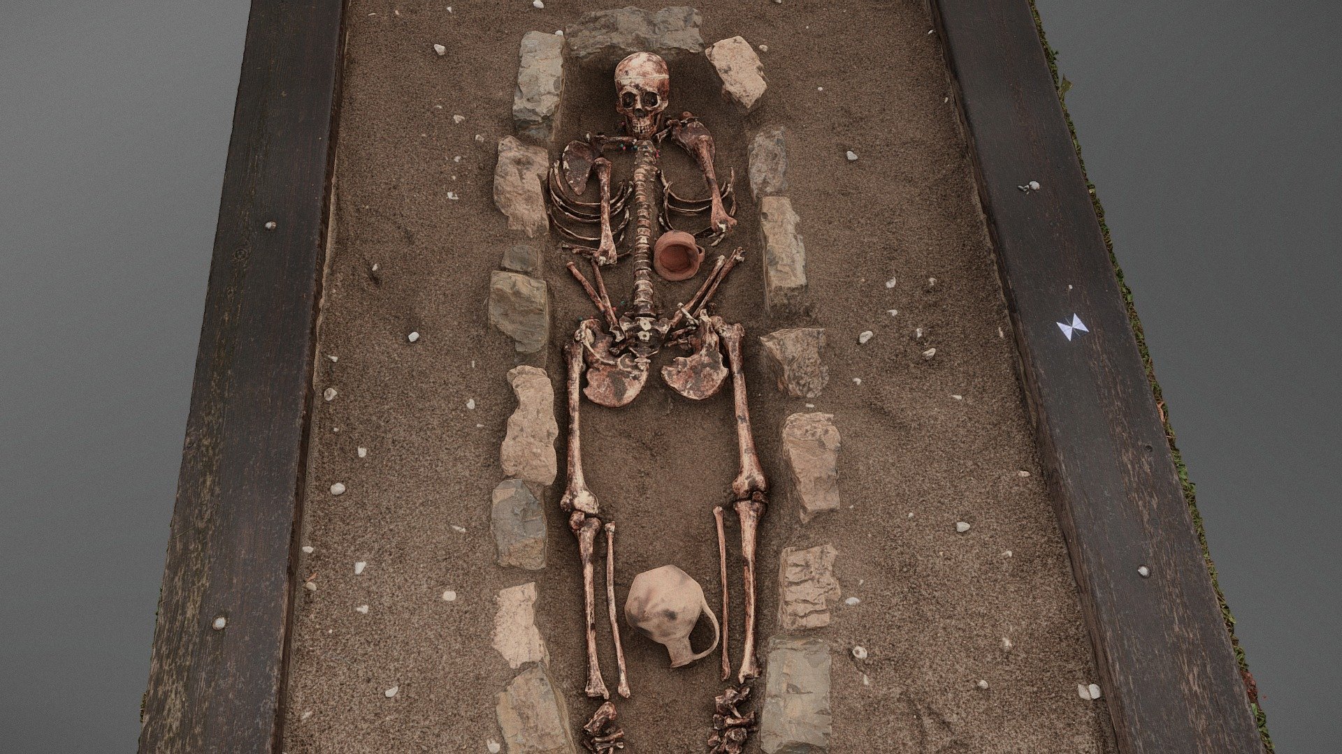 Skeleton excavation dataset - Download Free 3D model by matousekfoto ...