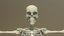Skeleton Reference 8 Heads Male - Download Free 3D model by Conrad ...