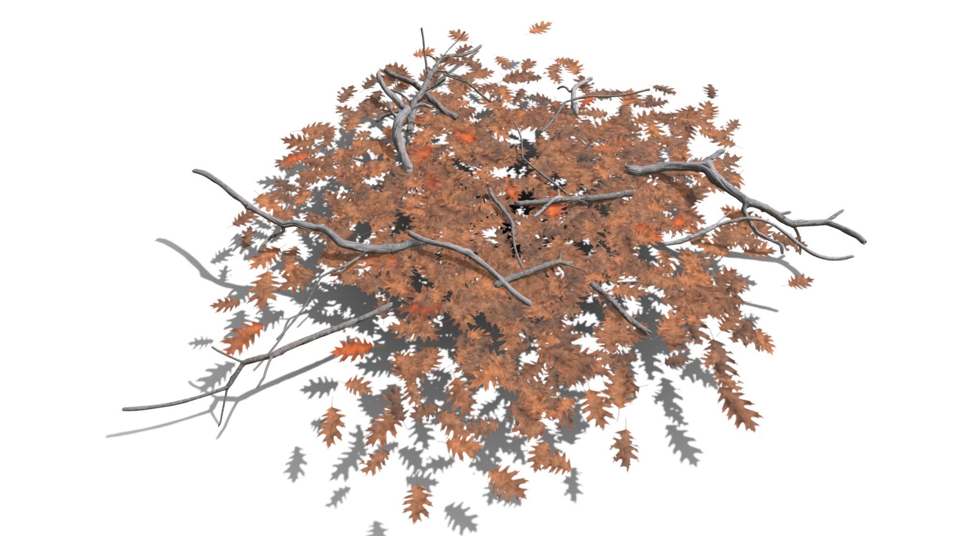 Realistic HD Red oak leaf litter (21/36) - Download Free 3D model by ...