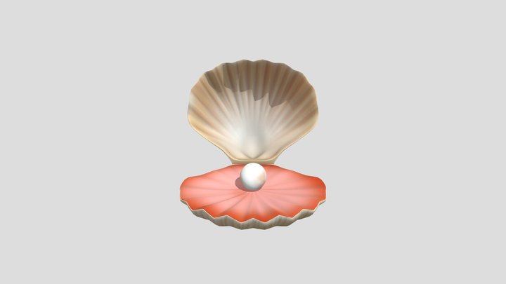 Clam 3D models - Sketchfab