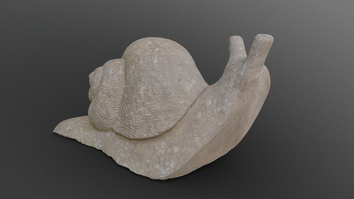 Snail 3d Models Sketchfab