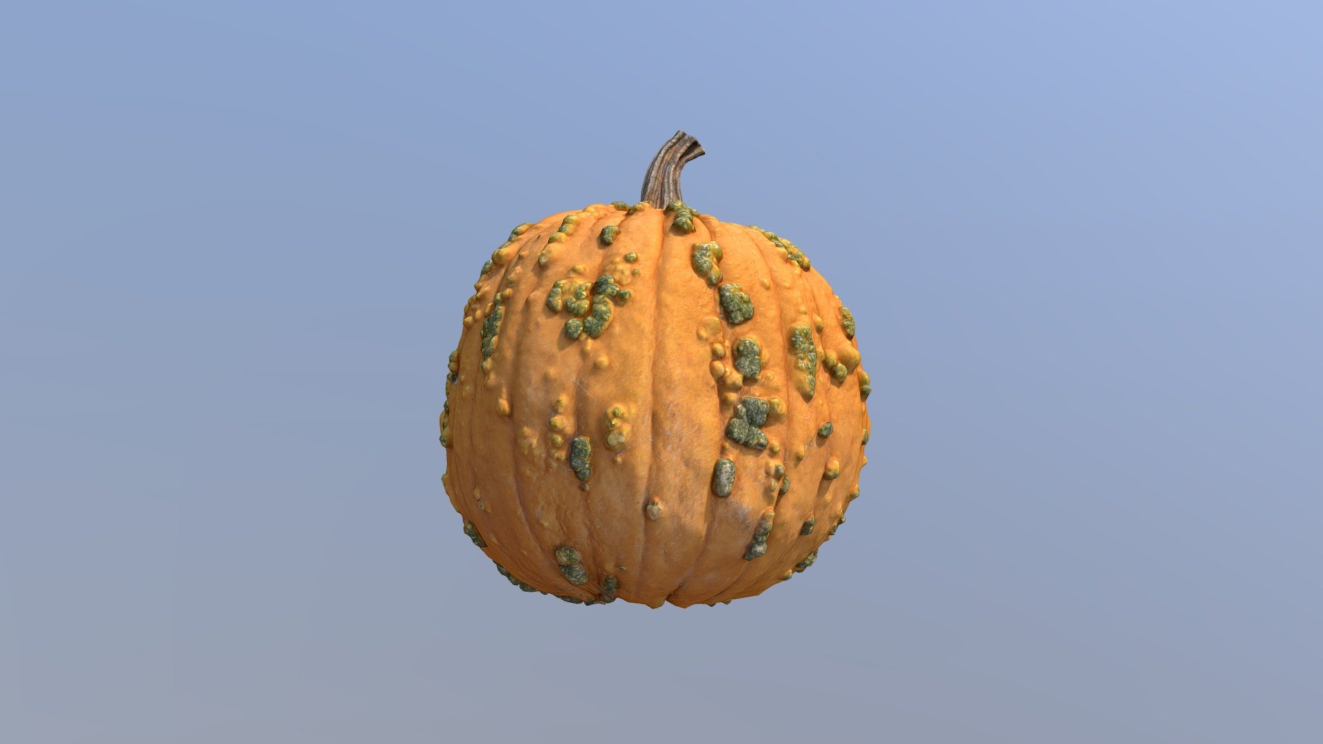 Warty Pumpkin [Free Model] - Download Free 3D model by Nik (@nikska ...