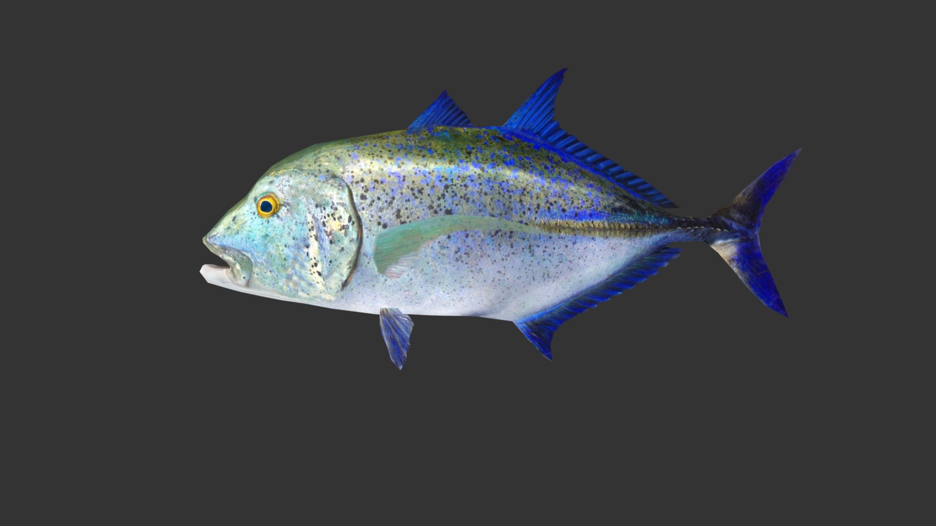Blu_1 - 3D model by mk2kondratowicz [bd08418] - Sketchfab