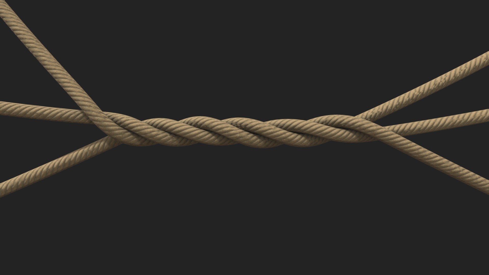 Rope - Buy Royalty Free 3D model by zames1992 [bd0d121] - Sketchfab Store