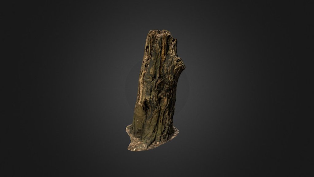 Old Tree 1 - 3D model by 3D MoTex (@goldenagevr) [bd1cc3d] - Sketchfab