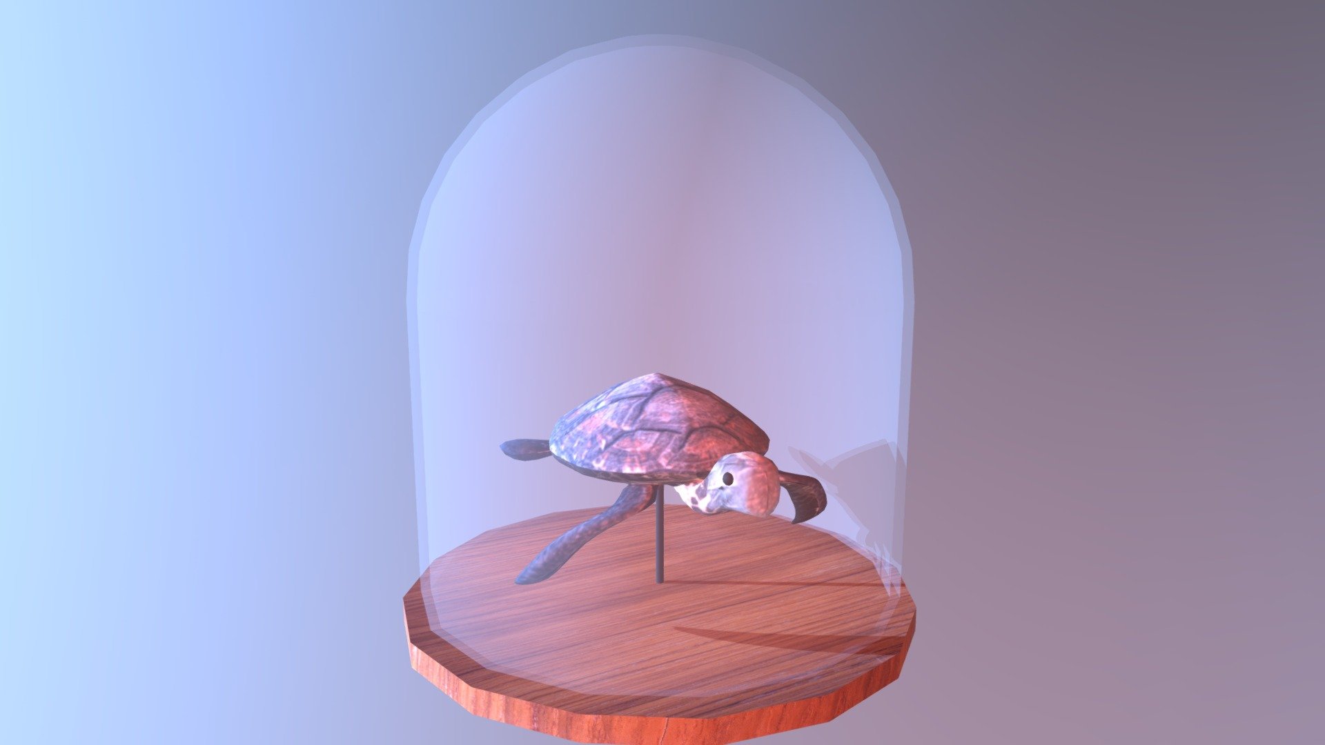 Tortuga - 3D model by macsmithsmith [bd2c4e9] - Sketchfab