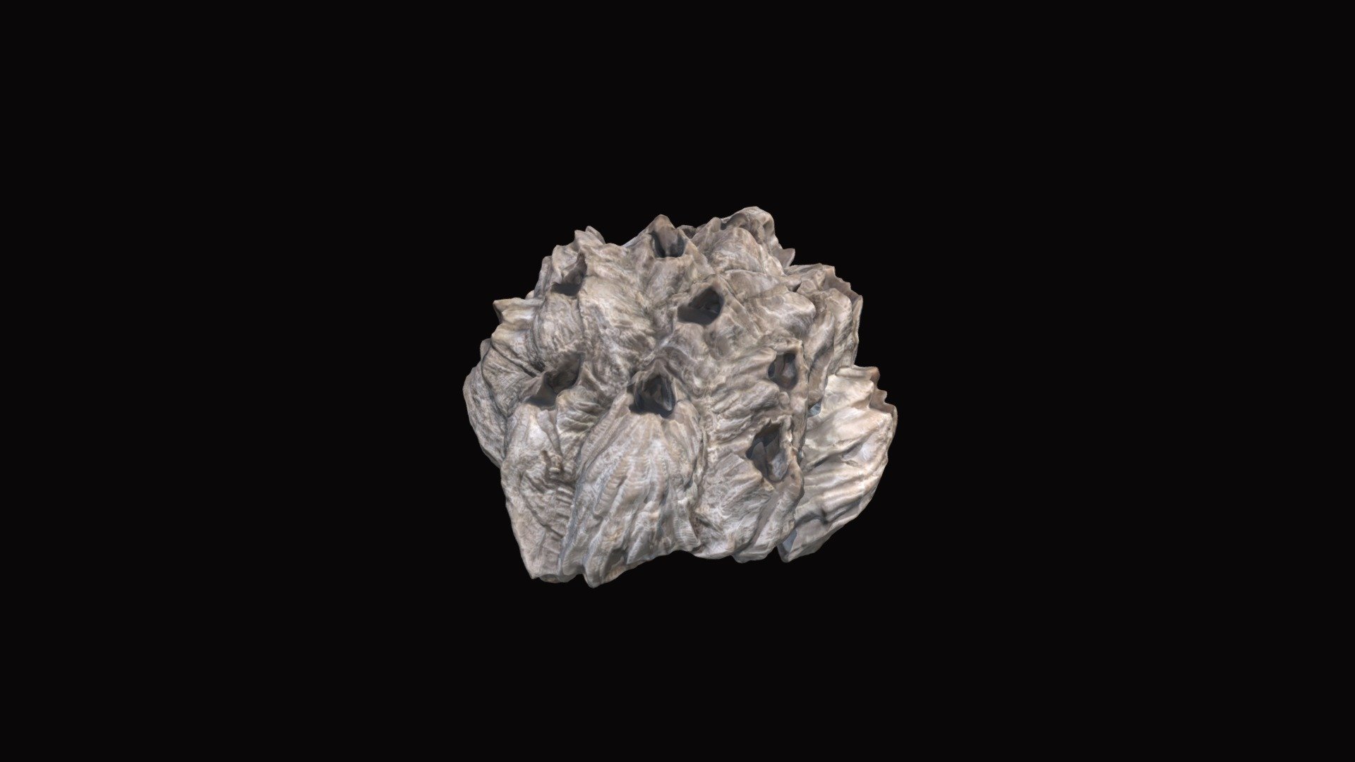 Barnacles (Balanus sp.) W/ PBR - 3D model by ShadeSquamous ...