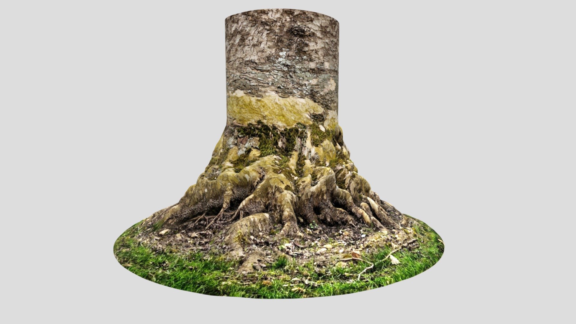 Tree Trunk - Buy Royalty Free 3D model by alexantropov1986 [bd36d4c ...