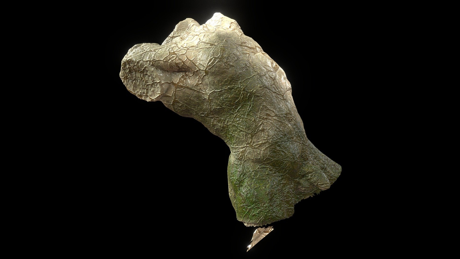 Male Torso - Marble Vein Infection - 3D model by Christian Visso ...