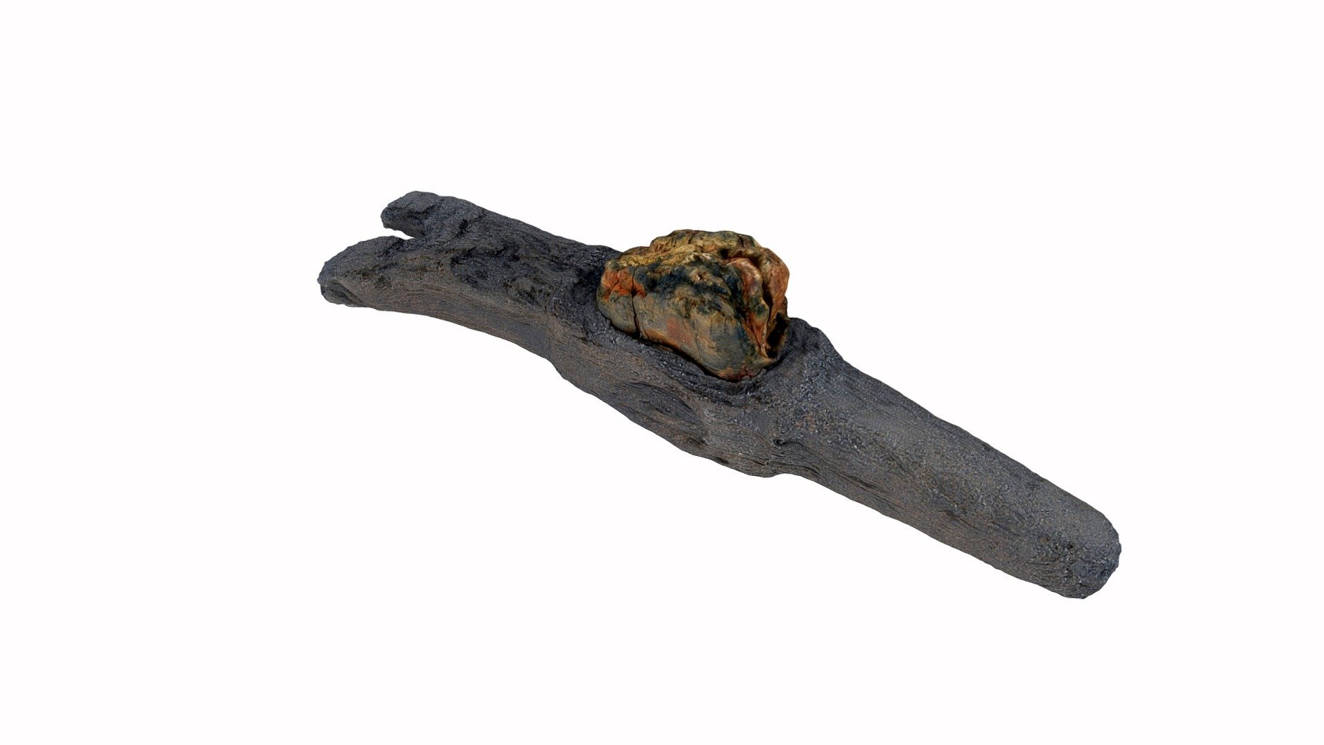 Atocha Hammerhead 1986.008.0769 - 3D model by The Mel Fisher Maritime ...