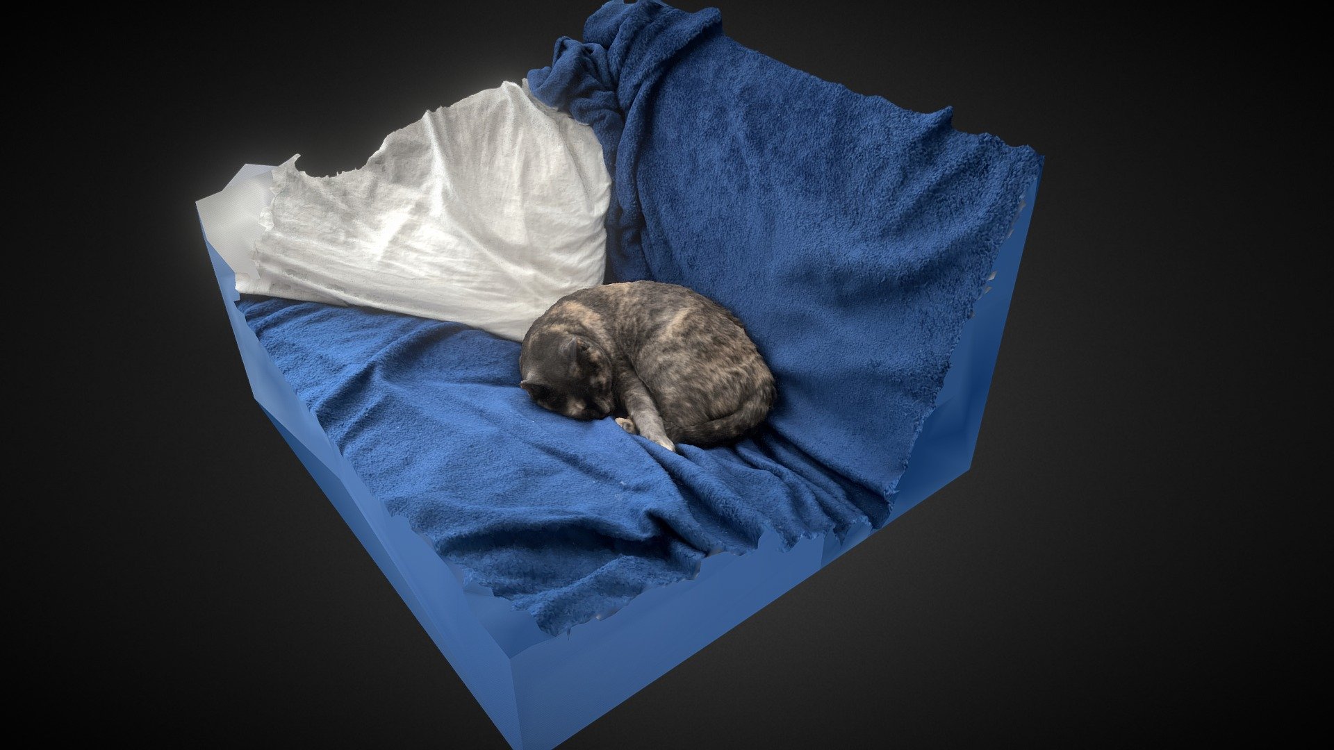 Sleeping Sesame Scan - Download Free 3D model by warpnik [bd48c45 ...