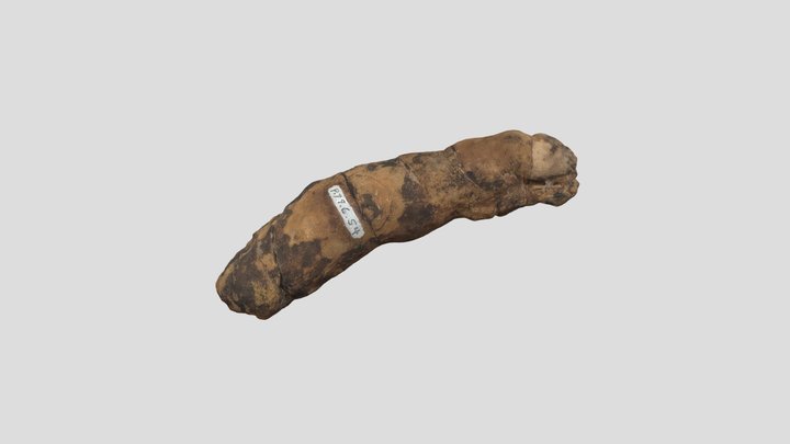 Poop 3D models - Sketchfab