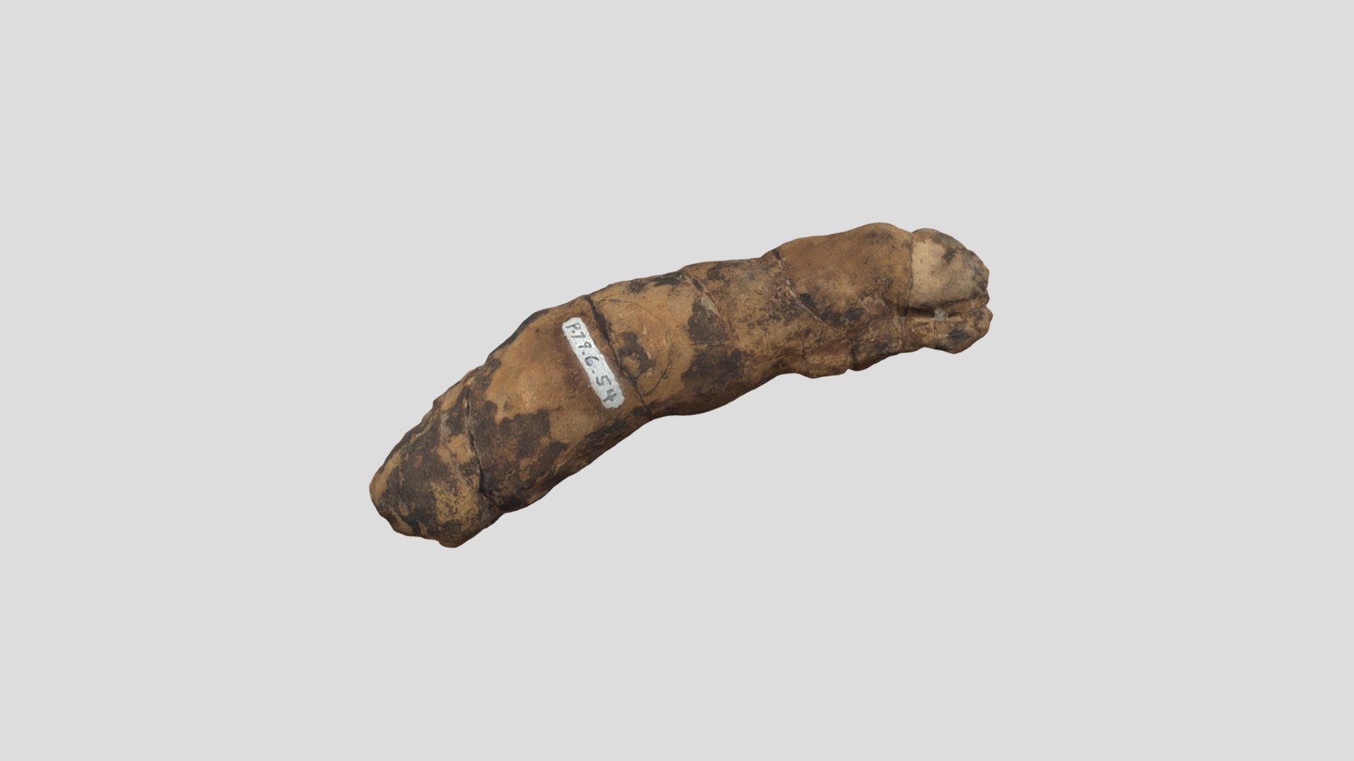 Prehistoric Poop #2 - 3D model by Jangojips [bd48e89] - Sketchfab