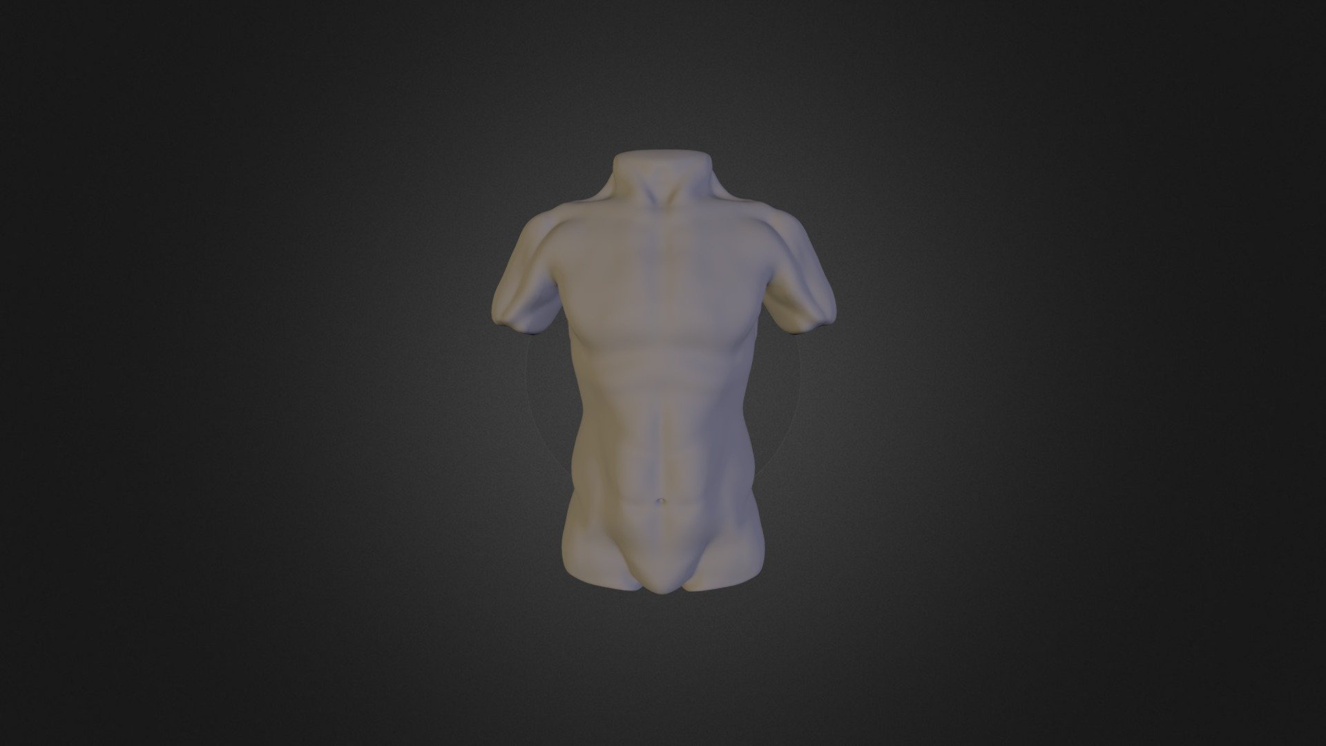 Torso - 3D model by KarlHardy [bd52848] - Sketchfab