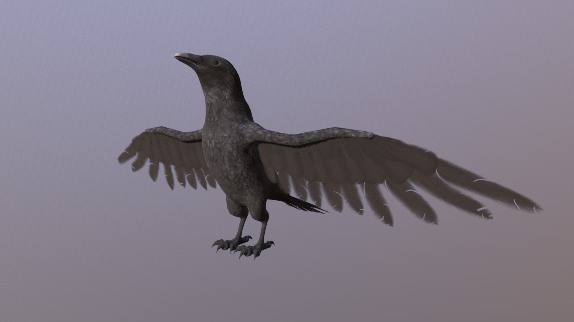 Crow - Buy Royalty Free 3D model by 3dlowpoly [bd5a42d] - Sketchfab Store