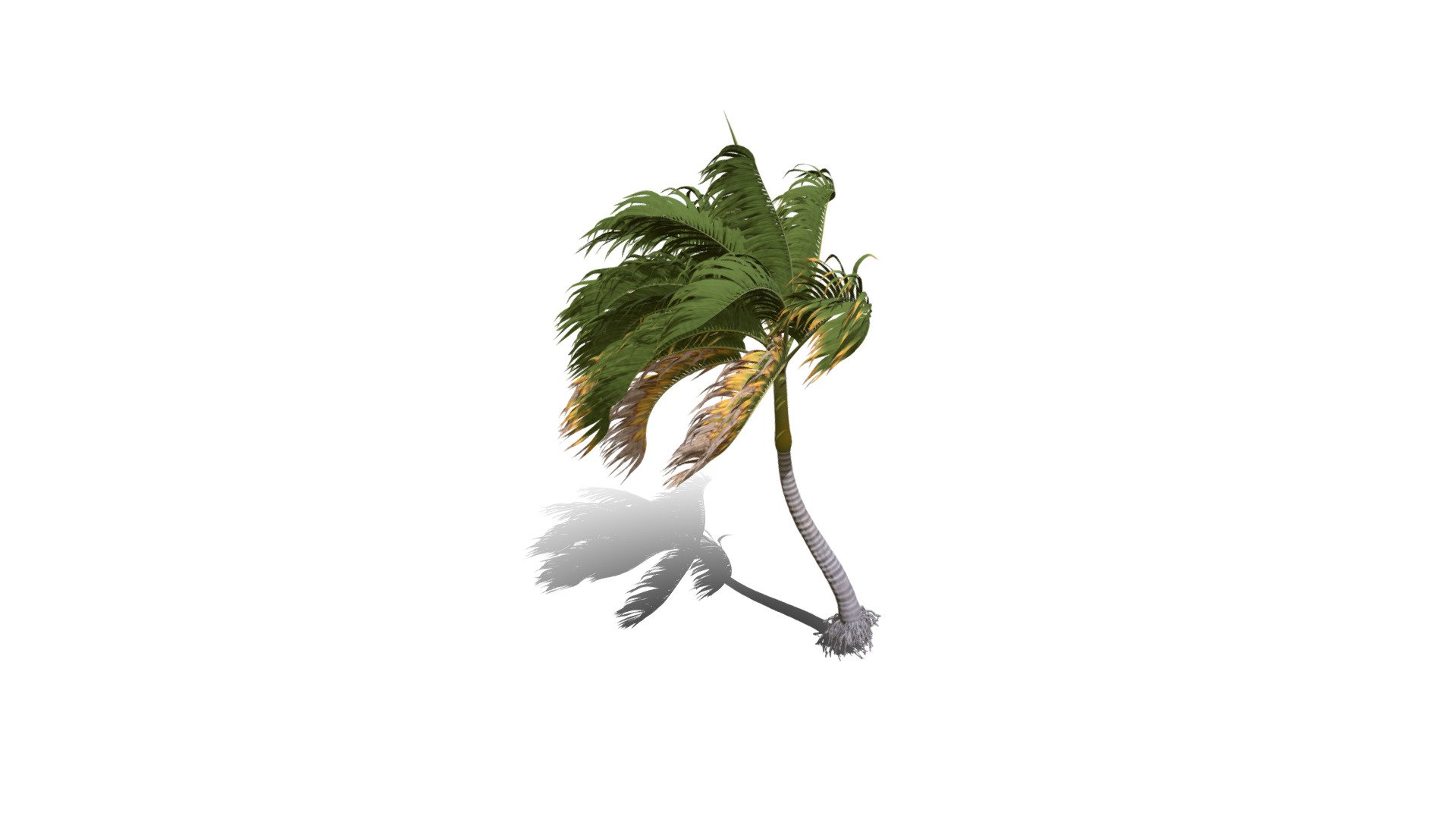 Realistic HD Christmas palm (22/35) - Buy Royalty Free 3D model by ...