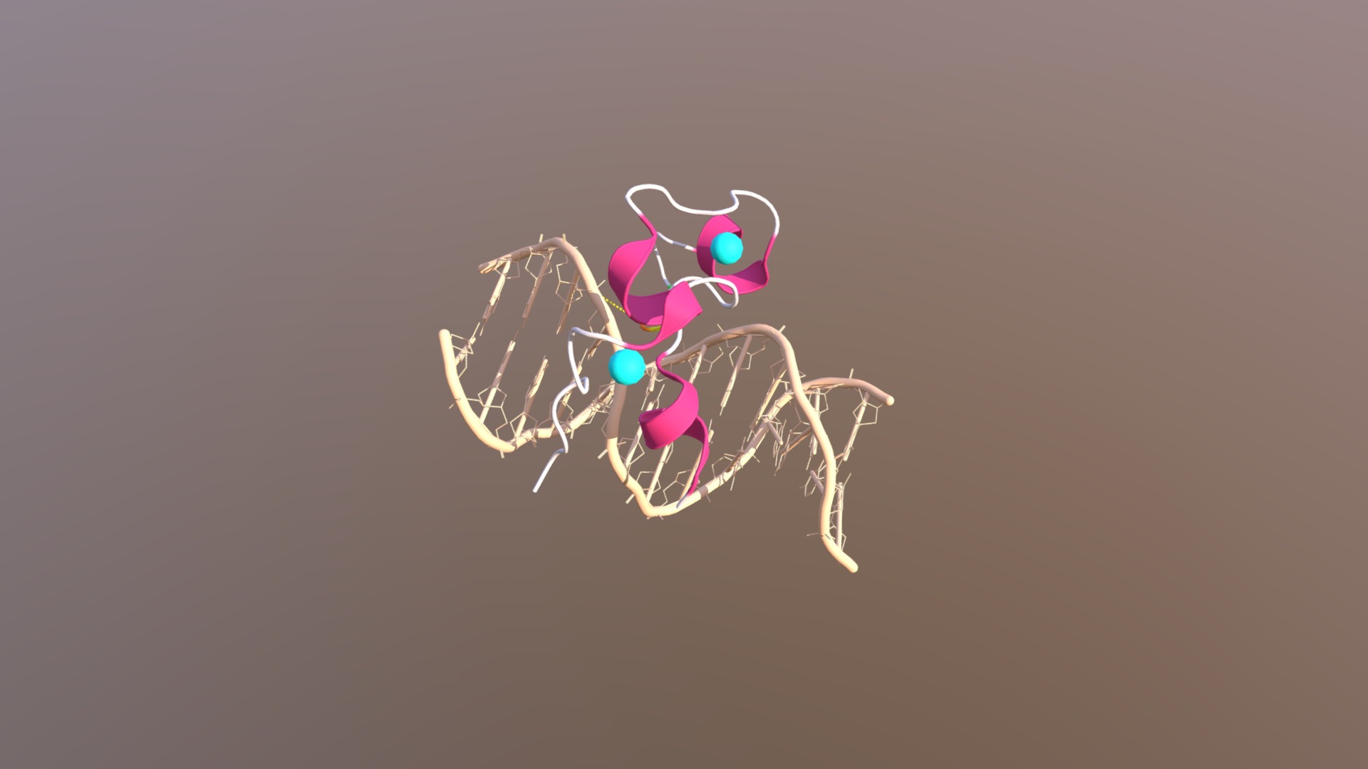 TET1 (CXXC) + DNA - 3D model by Dominik (@dominik_) [bd6c754] - Sketchfab