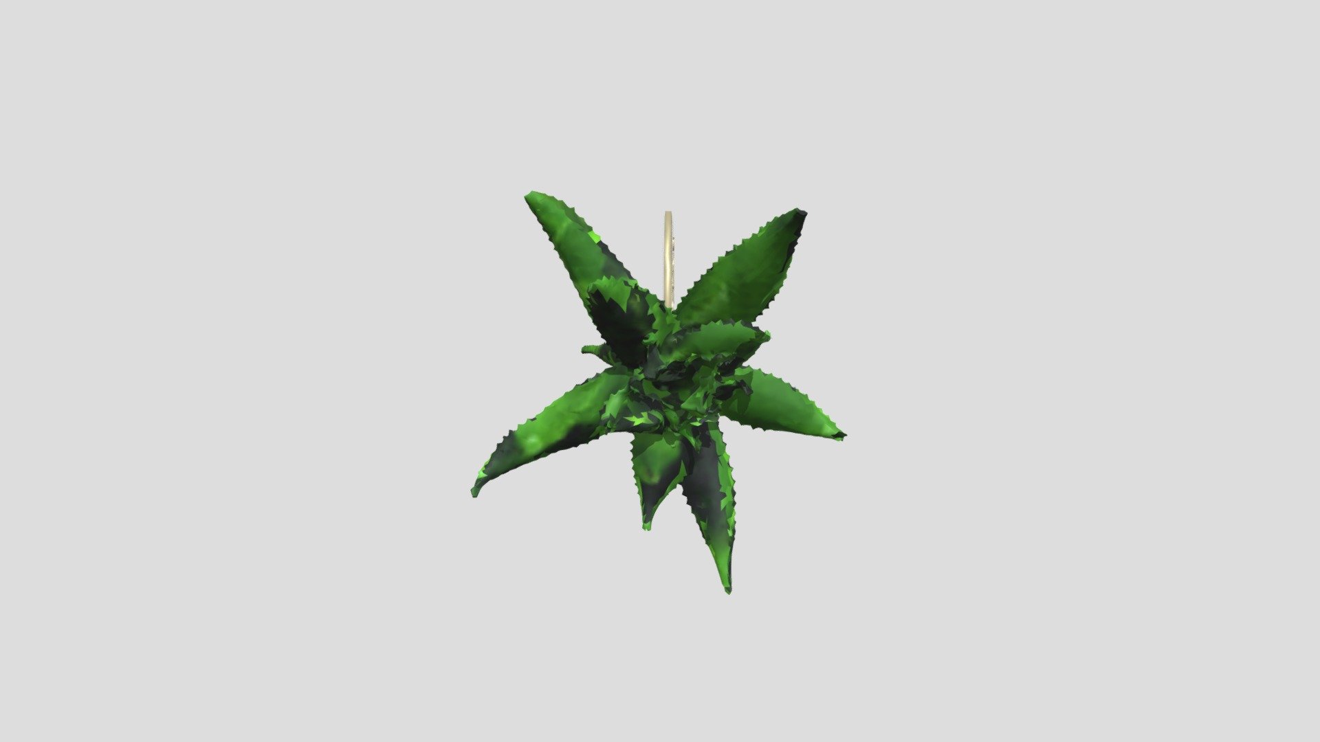 Aloe - Download Free 3D model by Zinaida.Kovrova [bd6f96d] - Sketchfab