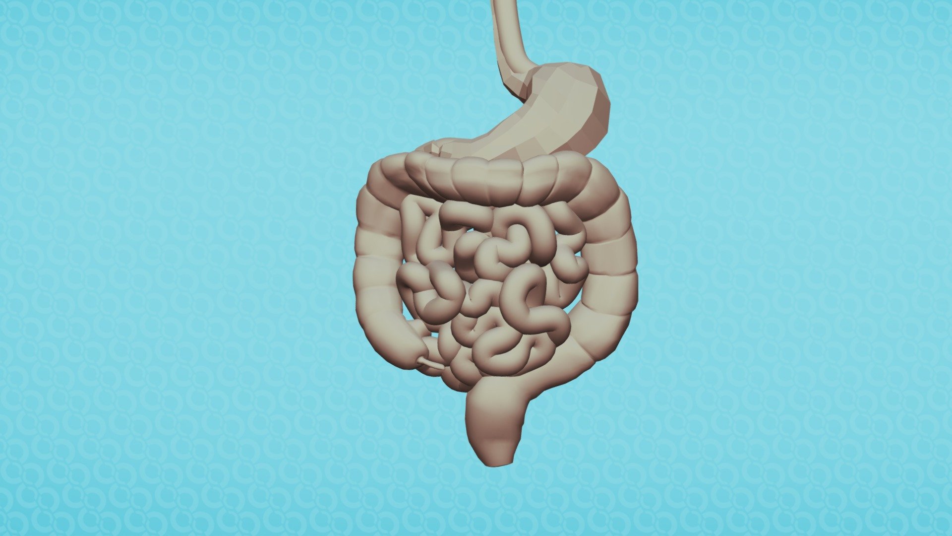 gi - 3D model by CCHMCMediaLab [bd70b7e] - Sketchfab