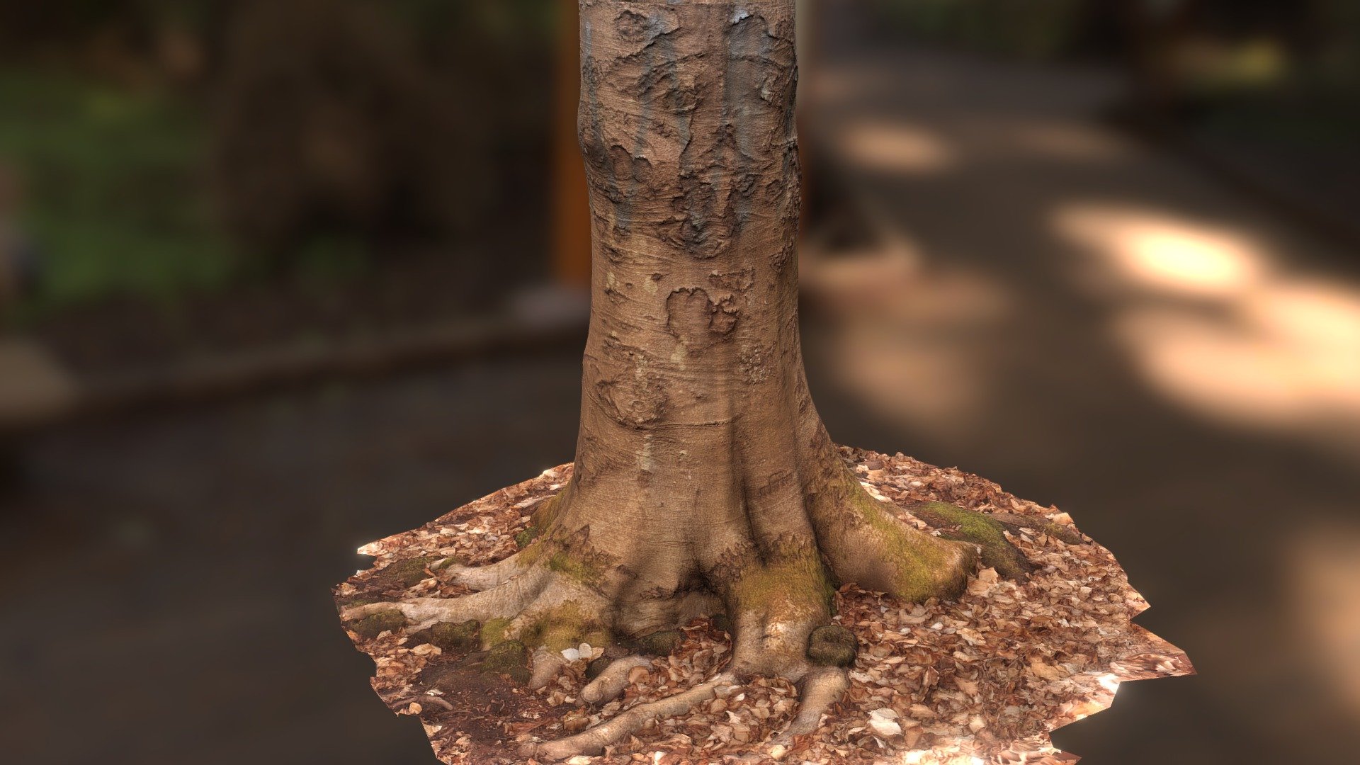 Free Tree Scan - Download Free 3D model by Kai Moisch (@kaimoisch ...