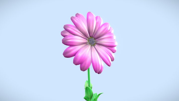 Petal 3D models - Sketchfab