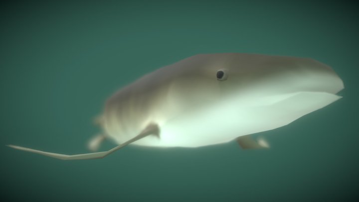 Lungfish 3D models - Sketchfab