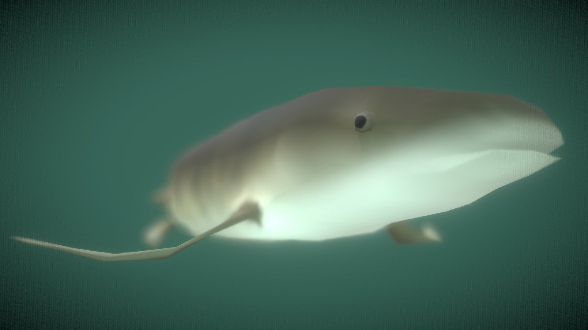 Australian Lungfish - 3D model by CatfishYAY [bd82b6b] - Sketchfab