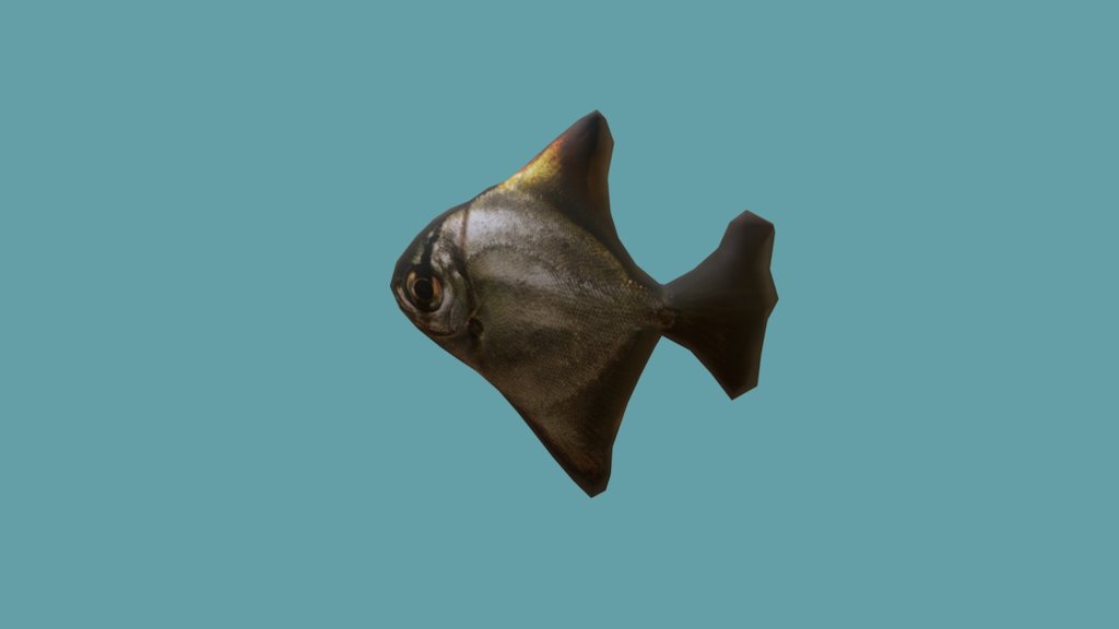 Ryba - Download Free 3D model by Robert (@Rob007) [bd8784c] - Sketchfab