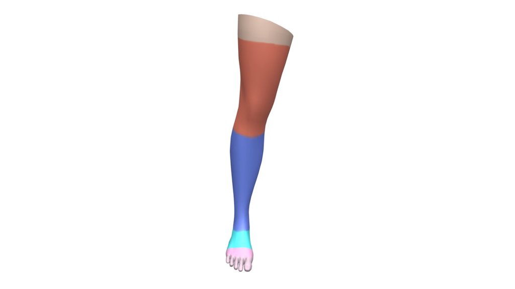 Final Leg - 3D model by blenderdave [bd896bc] - Sketchfab