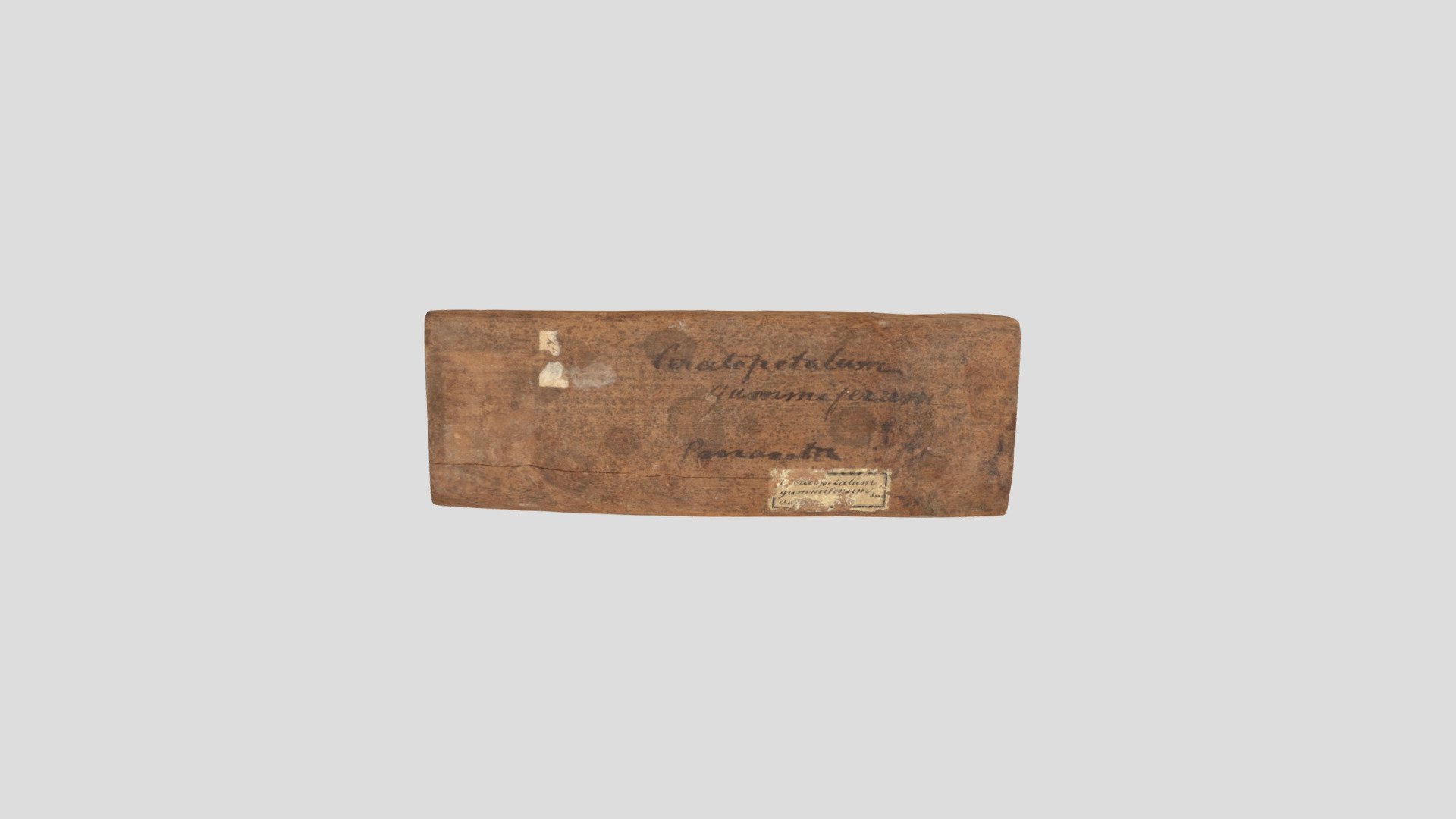 Wood Collection, Xylarium sample #18 - 3D model by SMA-UniGe [bd8a093 ...