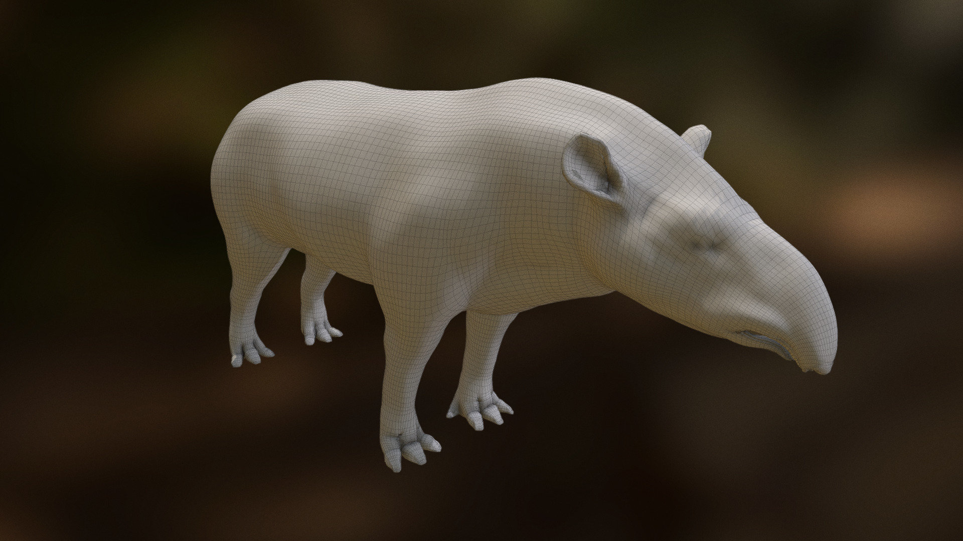 Tapirus Terrestris - 3D model by ickd [bd8b841] - Sketchfab