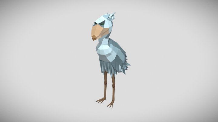 Shoebill 3D models - Sketchfab