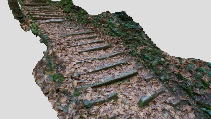 Path 3D models - Sketchfab