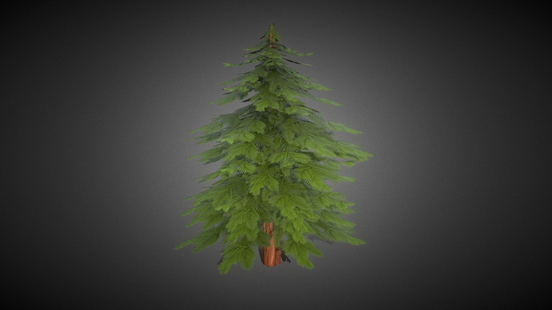 Spruce - 3D model by pingpong (@pingpong367) [bd90c69] - Sketchfab
