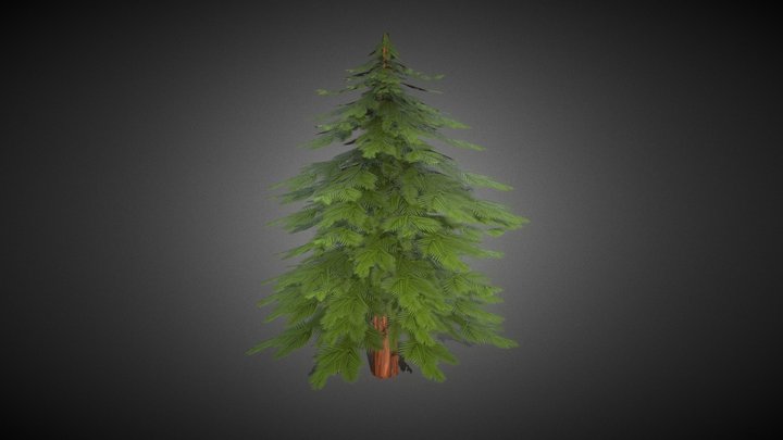 Spruce-forest 3D models - Sketchfab