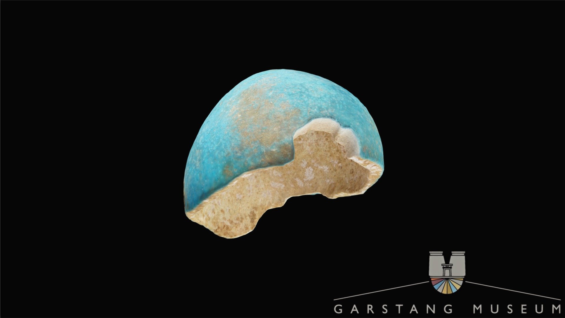Glazed Quail(?) Eggshell - 3D model by Garstang Museum of Archaeology ...