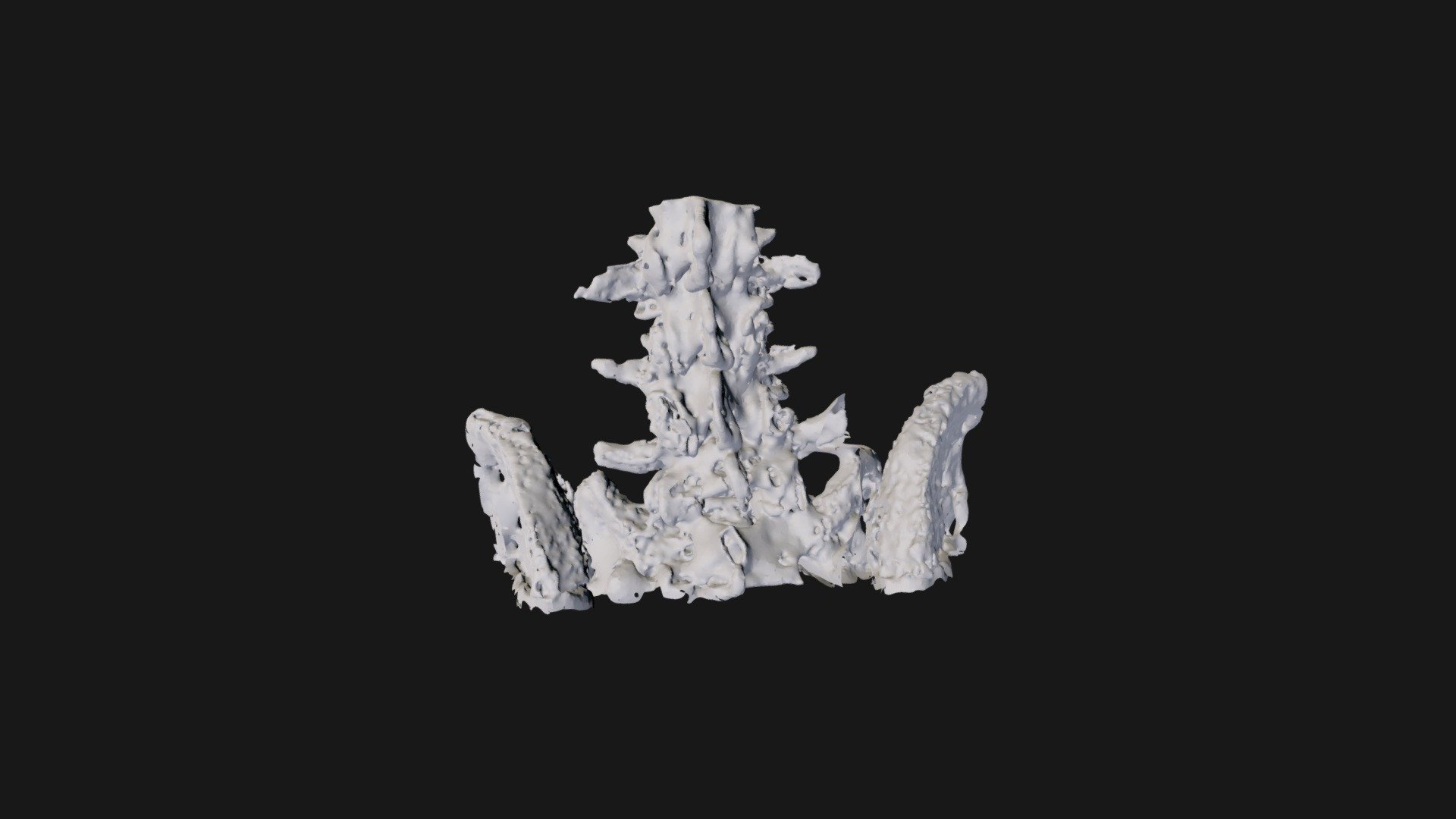 MESH - 3D model by skull base XR (@skullbasexr) [bd965c8] - Sketchfab