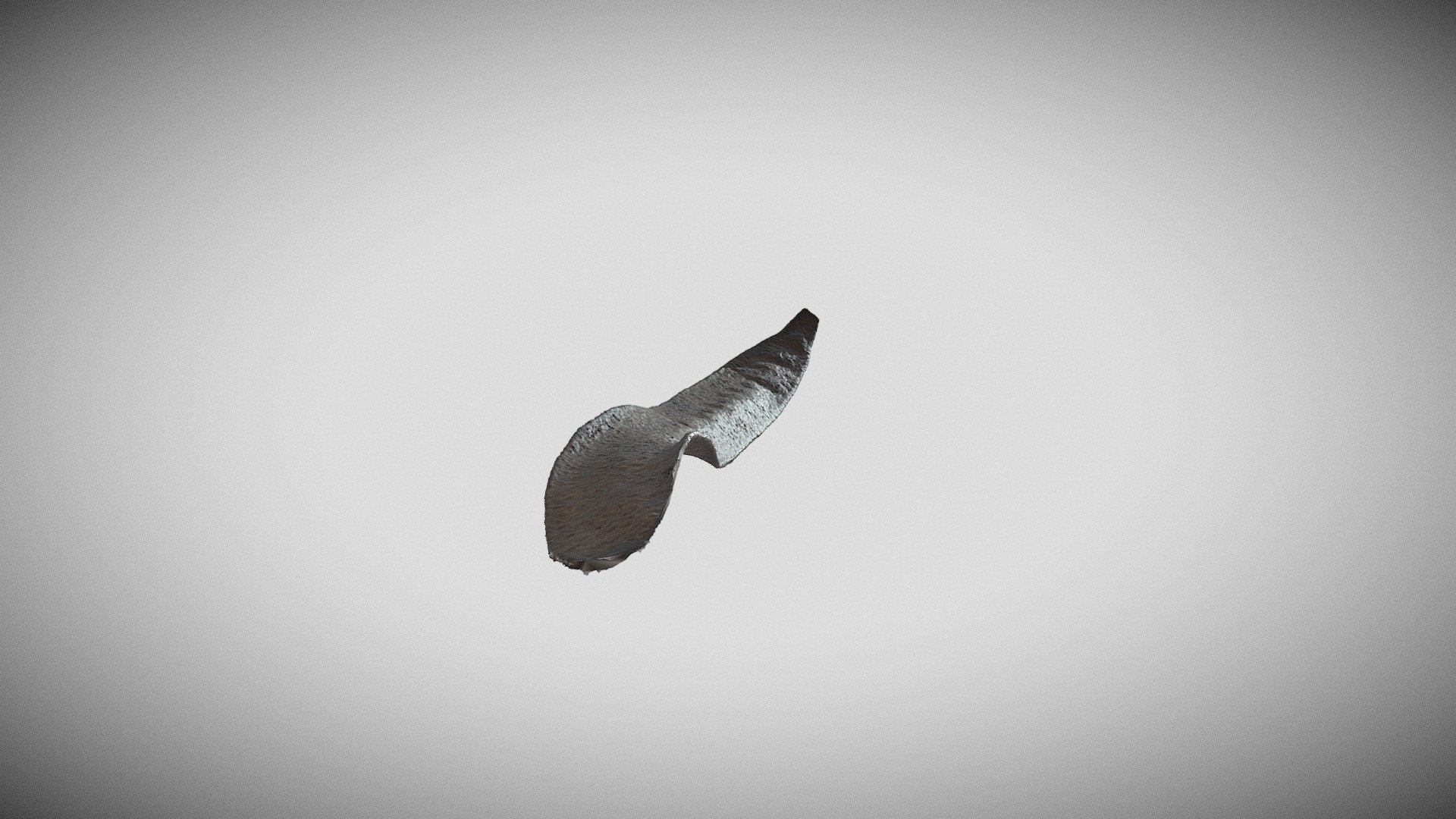 Prosopis genus, unknown species - Download Free 3D model by ...