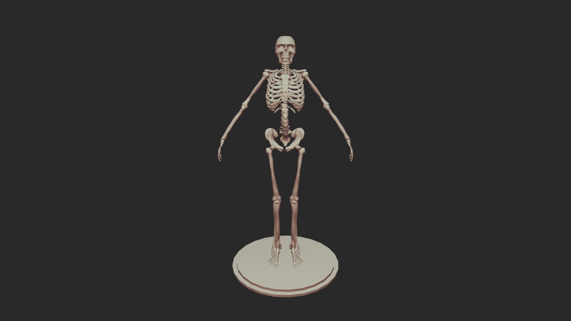 ZBrush Skeleton Sculpt - 3D model by faiiu [bdb08b0] - Sketchfab