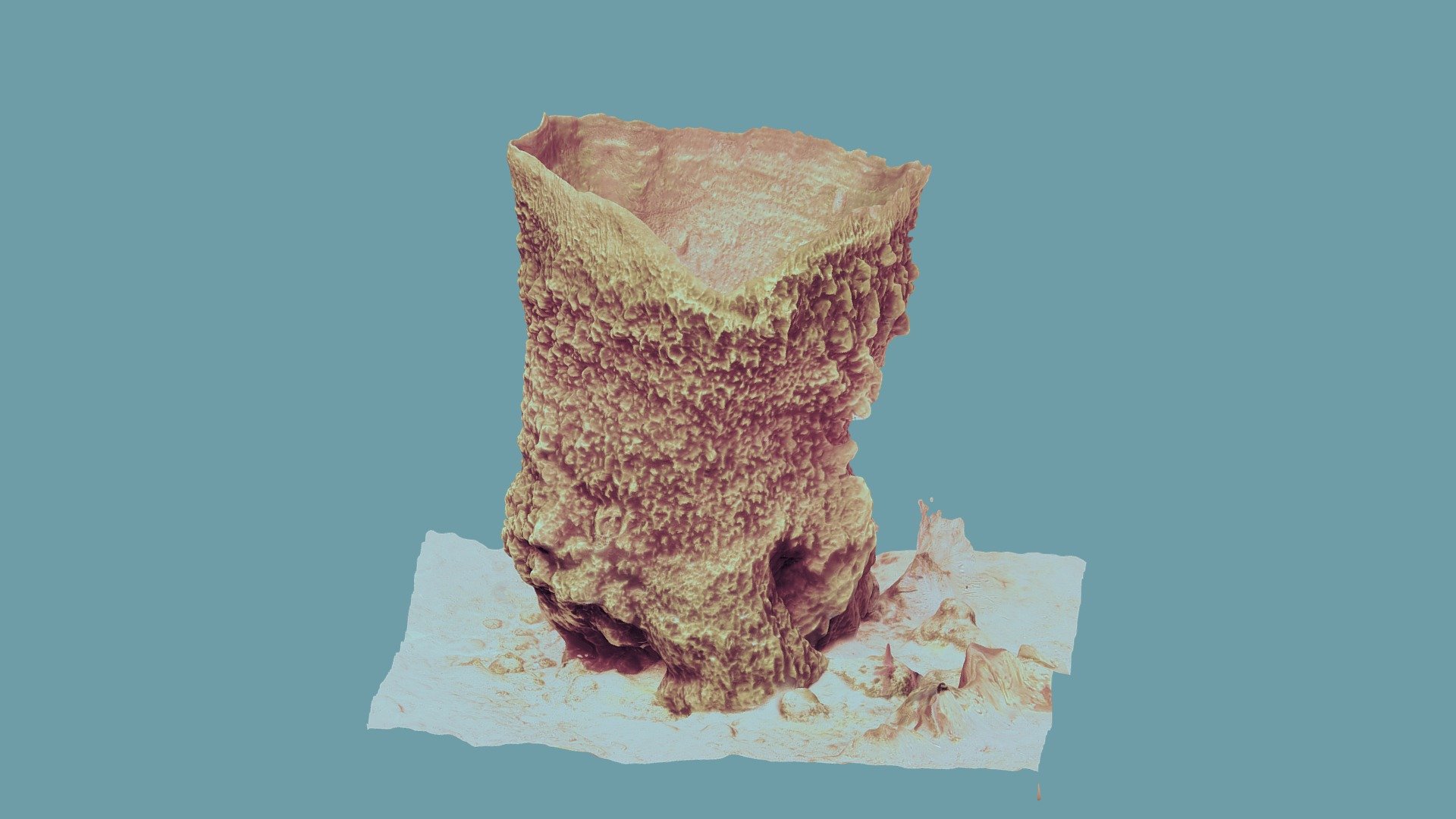Ancient Giant Barrel Sponge "Xestospongia muta" - 3D model by Glubel ...