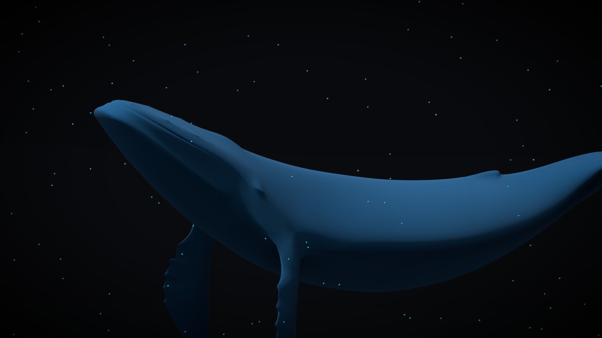 Blue whale model - Download Free 3D model by RawrationWrath (@Wrath_Man ...