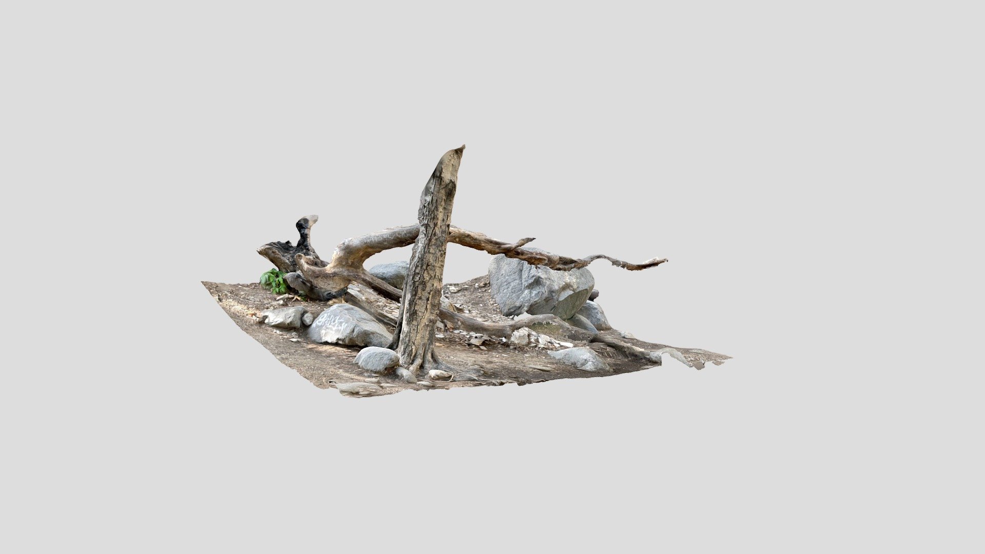 Dangling tree - Download Free 3D model by Chris Heinrich (@cpheinrich ...