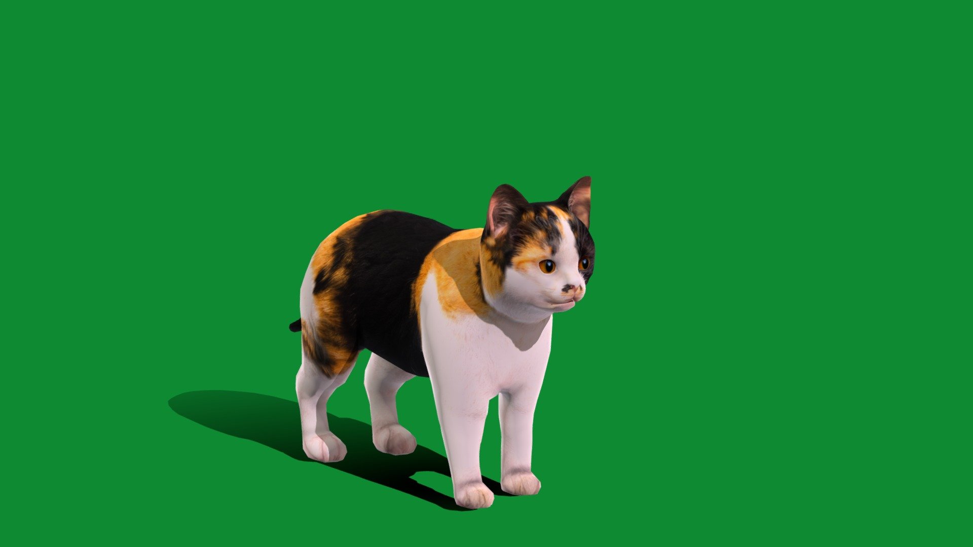 Calico Kitten Cat - Buy Royalty Free 3D model by Nyilonelycompany ...